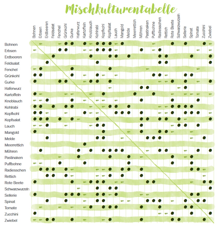 Mischkultur Gemuse Tabelle